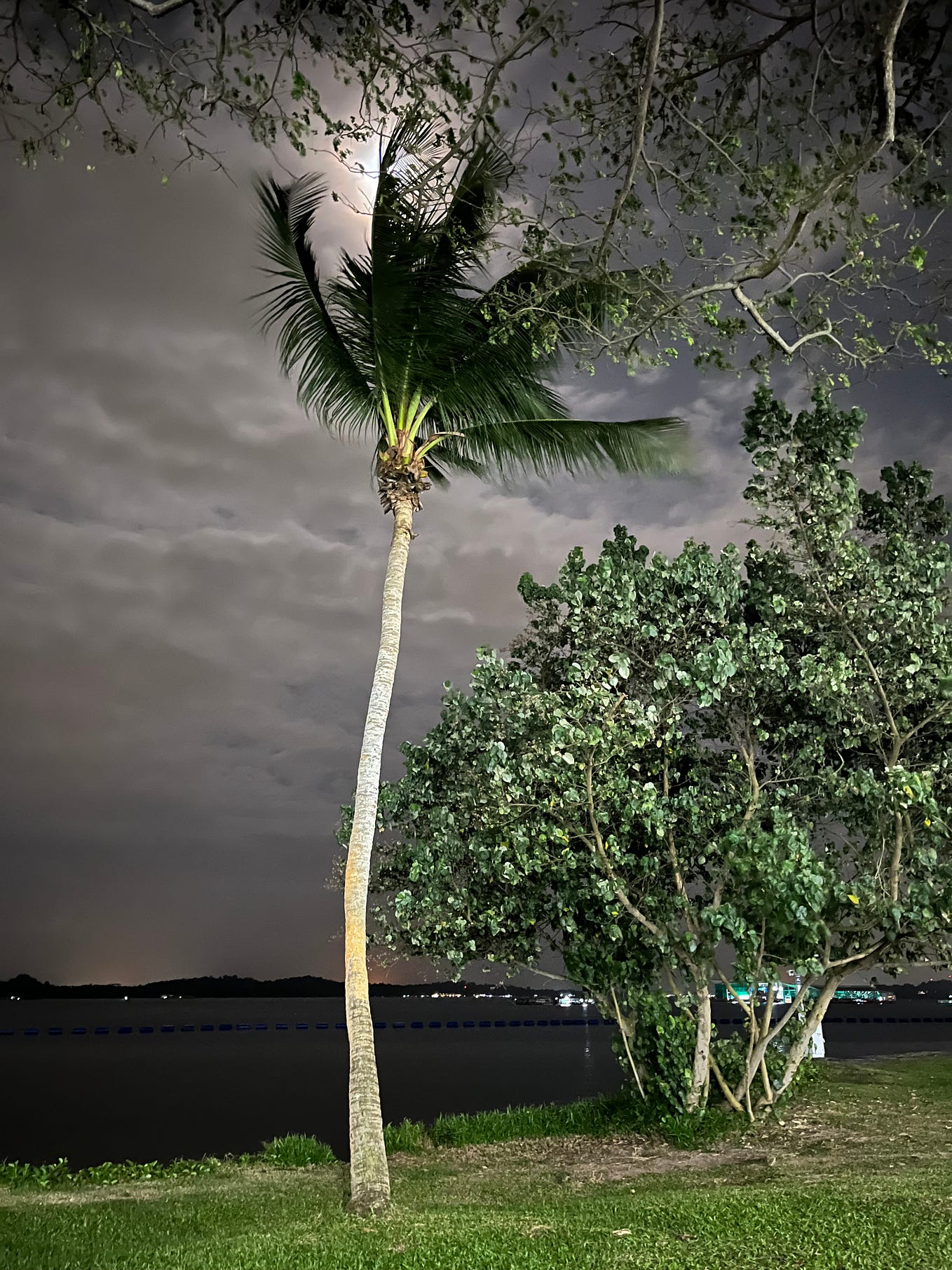 Creating Visualization of Stock Data for Technical Analysis | by Rajeev ...