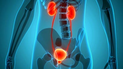 What are the common treatment options for prostate cancer? | by Dr. Naresh Kumar Garg | Medium