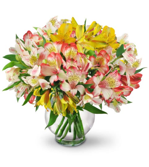 Avenida Flowers: Calgary’s Trusted Source for Beautiful Flowers and ...