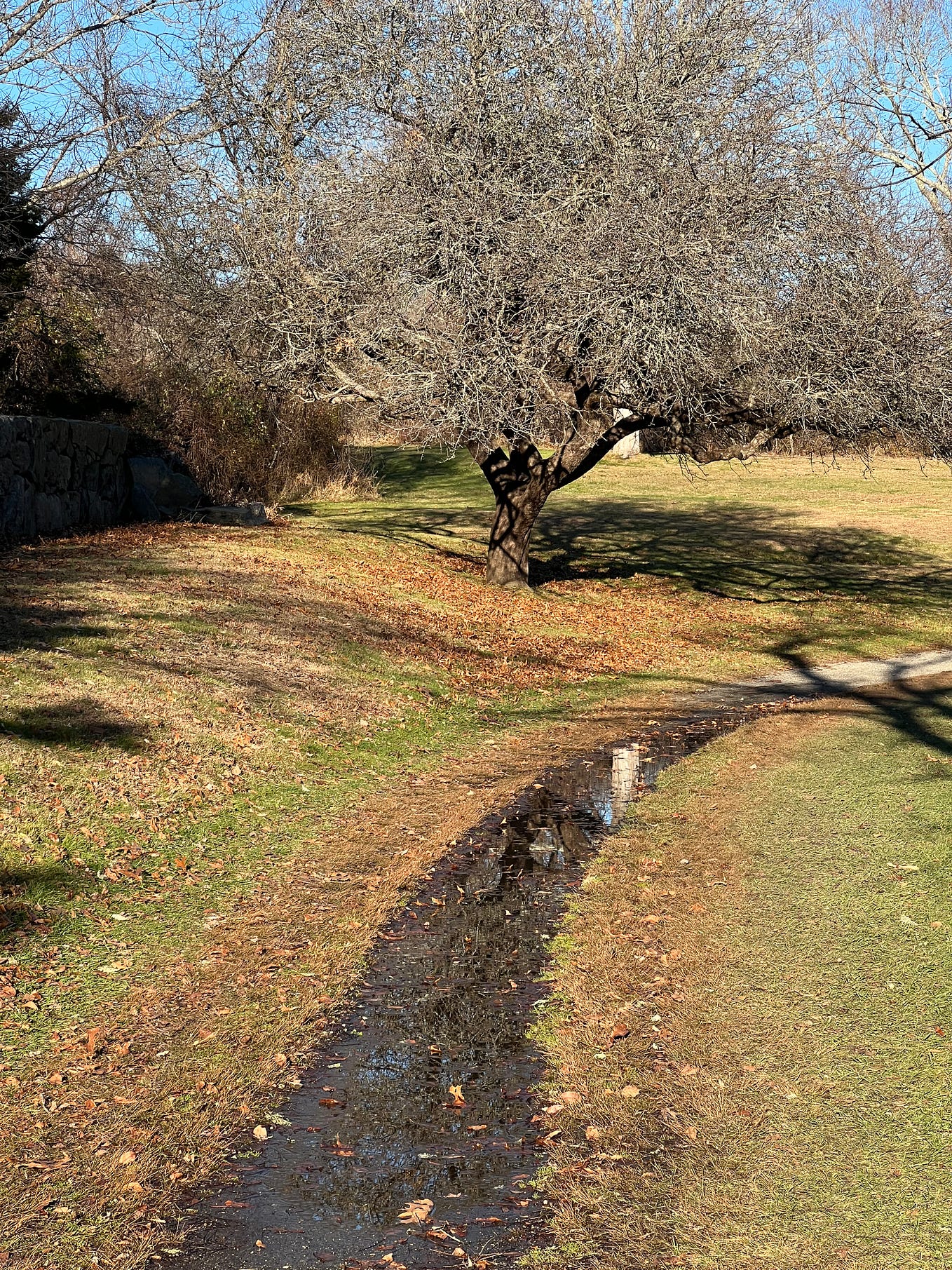 Where Tears Well-up and Spill Over | Medium | Refresh the Soul
