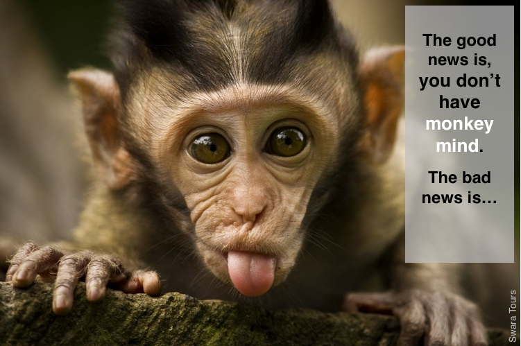How Long Should I Be Meditating?. When you start meditating, the ...
