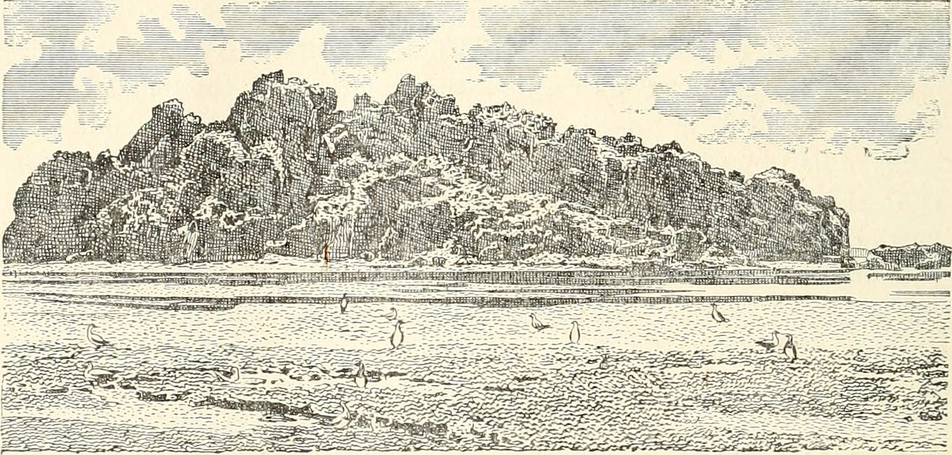 “Blackbirding” in the Pacific Islands | Medium