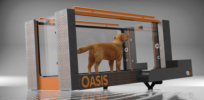 The Science Behind Underwater Treadmills: Exploring Hydrotherapy ...