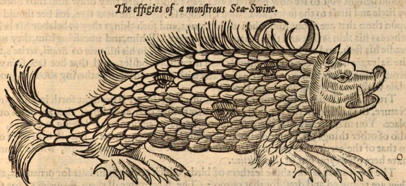 The Pursuit Of Sadbh and Fear Doirich: A Retelling of Black Jack Davy ...