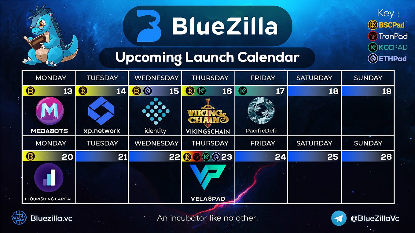 BlueZilla: End of Year Statement and 2024 Outlook | by BlueZilla | Medium