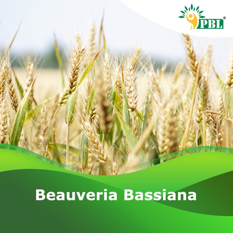 Peptech’s Beauveria Bassiana: Green Solutions for Agriculture ...