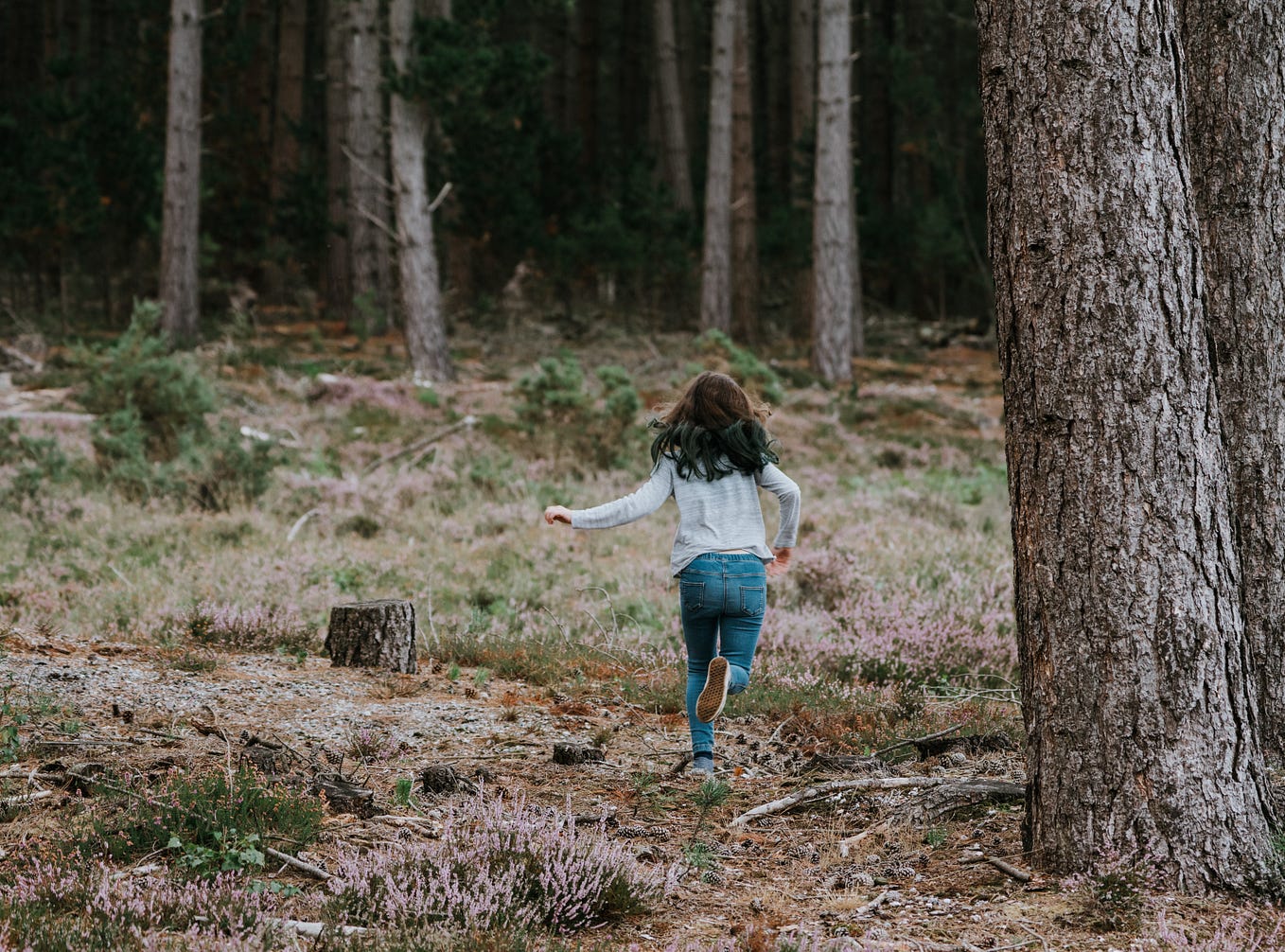 Scenes from a Recovering Authoritarian Parent | by Angie Gibbons | Medium