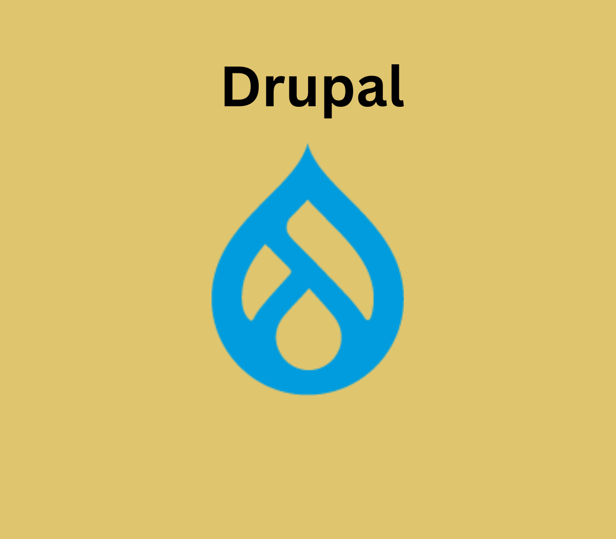 Custom Dynamic Tokens in Drupal. In Drupal tokens can be used to inject… | by Rico van de Vin ...