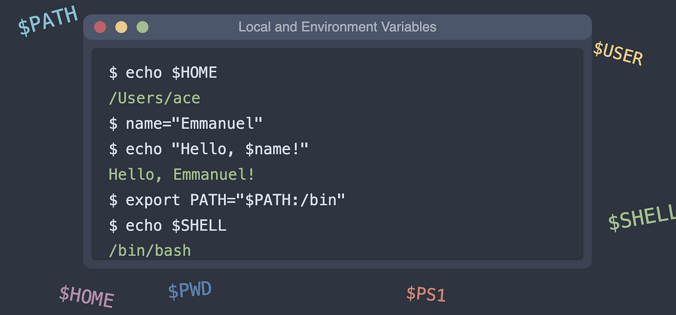 How to Customize Your Shell: Aliases and Options | by Emmanuel Akachukwu | Mar, 2025 | Dev Genius