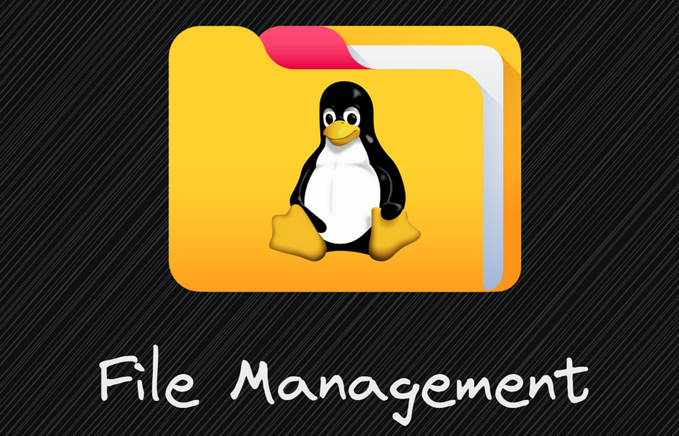 Managing source code using Git, GitHub and Vim | AWS in Plain English