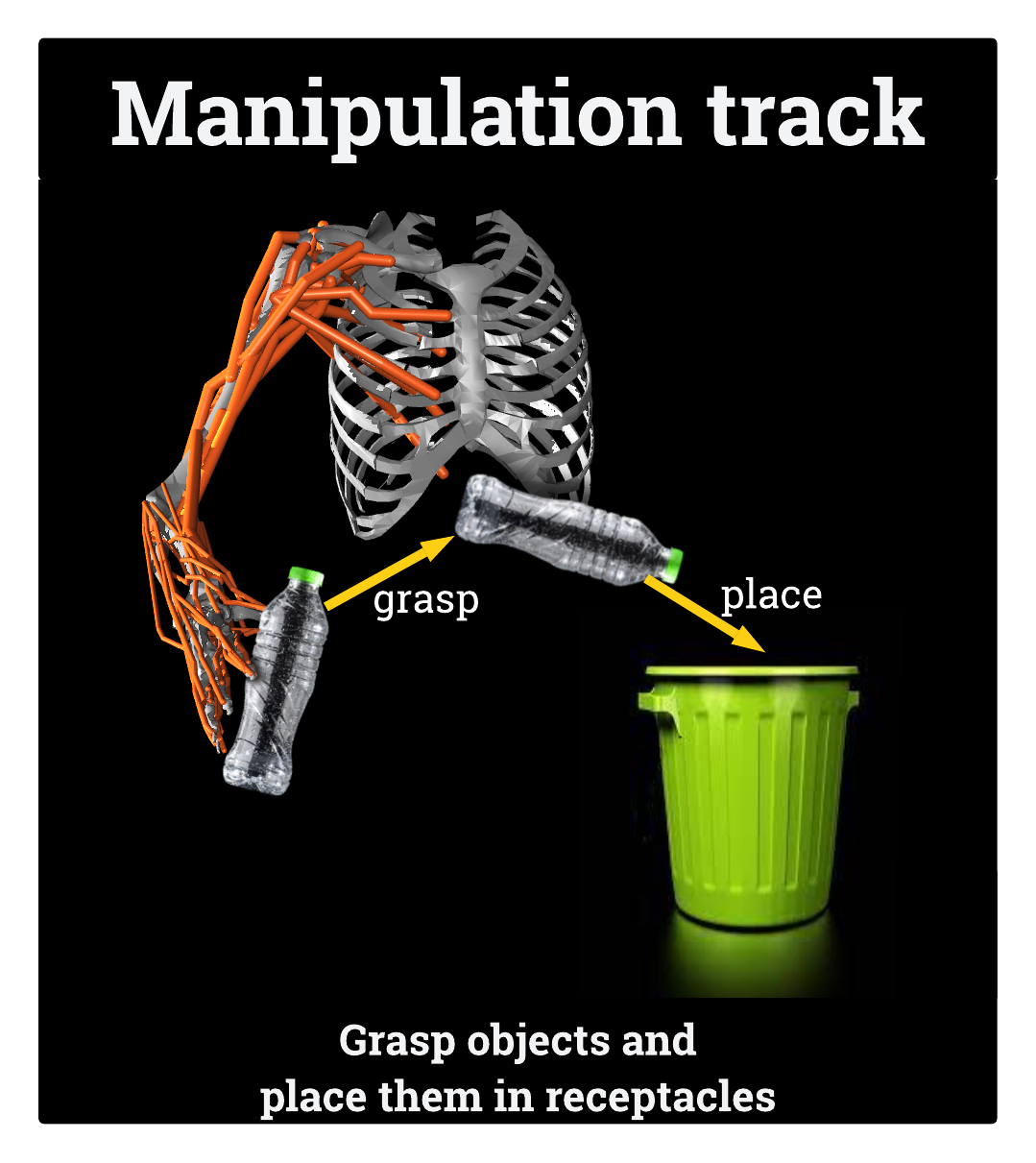 MyoChallenge ’23: A Retrospect. TL;DR: Exploring human motor control… | by MyoSuite Team | Medium