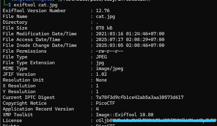 Where are the robots — PicoCTF Walkthrough | by Gresecure | Medium
