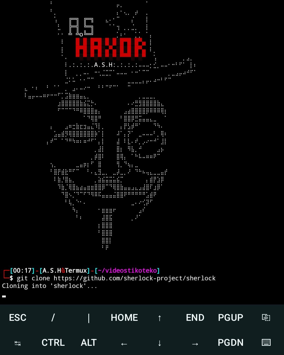 Instalação do Gobuster no Termux. | by AstralSecHaxor | Medium