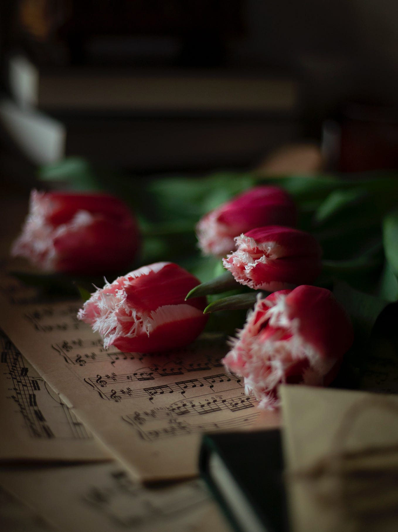 Test Api To Upload File Using Playwright Framework By Donald Le