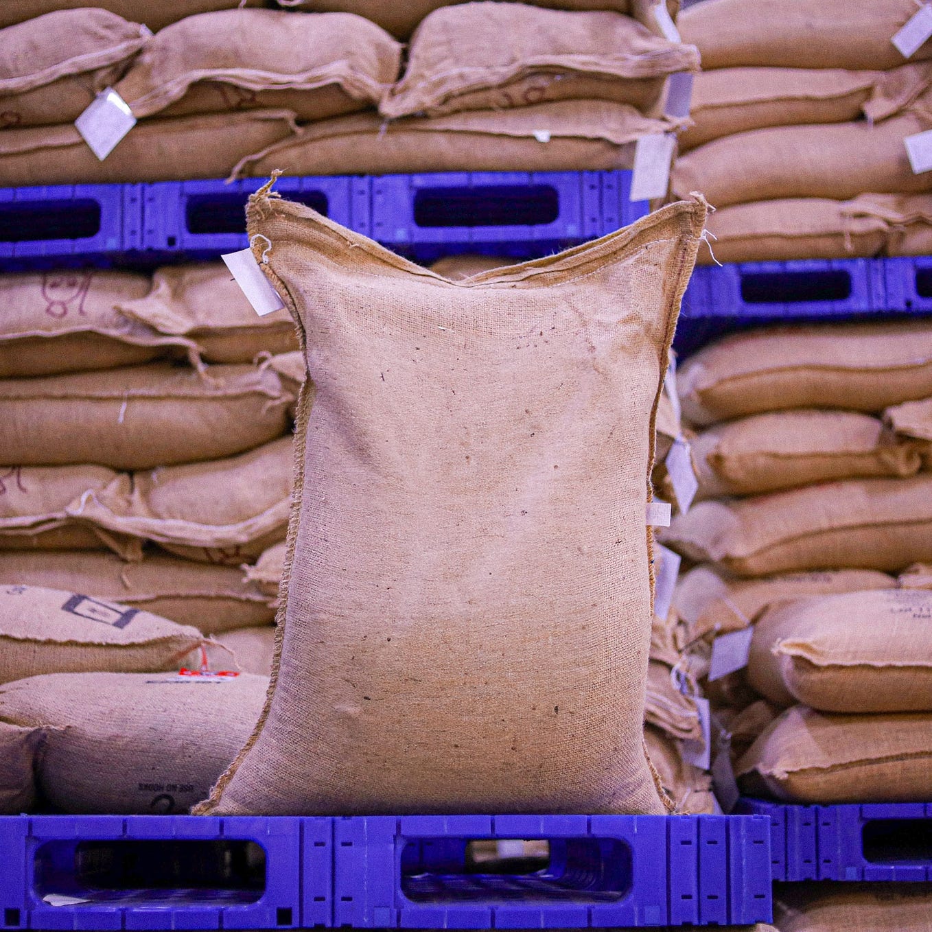 The Growing Importance of Data Analytics in Agricultural Decision-Making! | by agribazaar | Medium