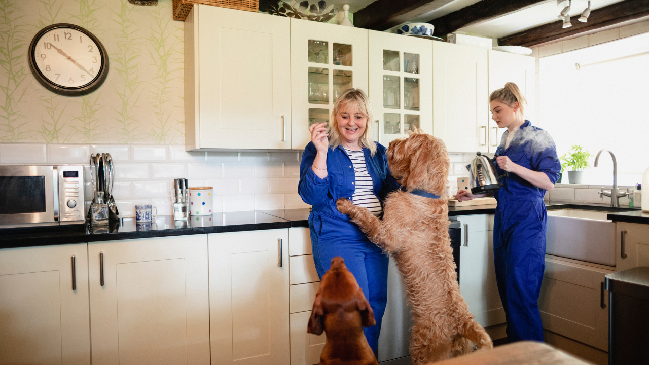 Stop the Tug-of-War!. 🦮How to Train Your Dog to Walk… | by Emily and ...