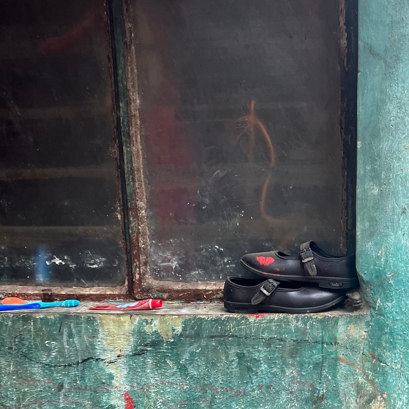 JJ. First the birds came. In dreams and… | by Preetha Jayaraman | Medium