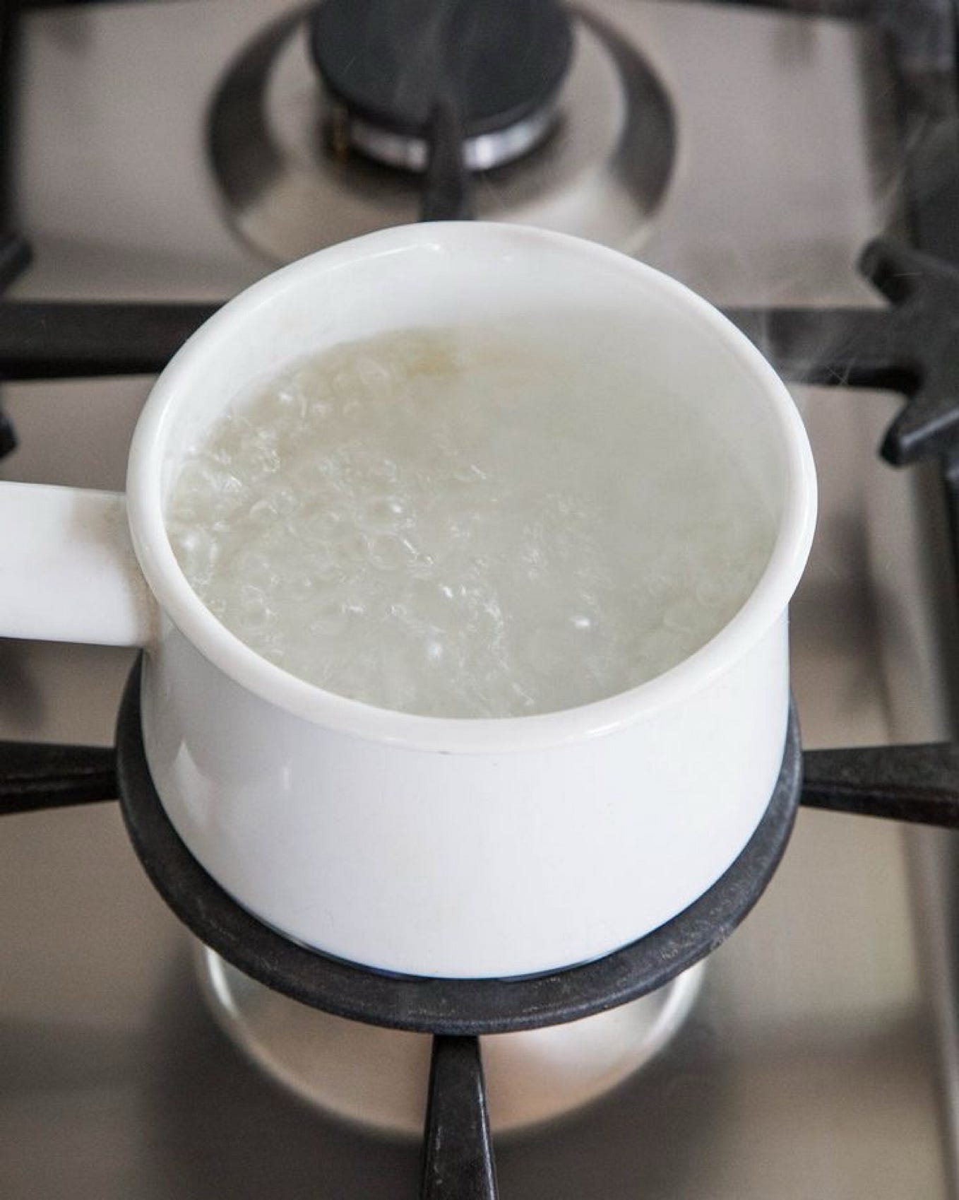 Cacti and me. The idea for this article came while… | by Janesha Wickramasinghe | Medium