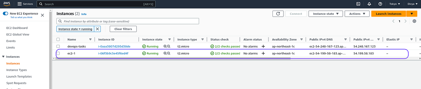 Terraform Basics. Introduction: | by Divya Prabhu | Medium