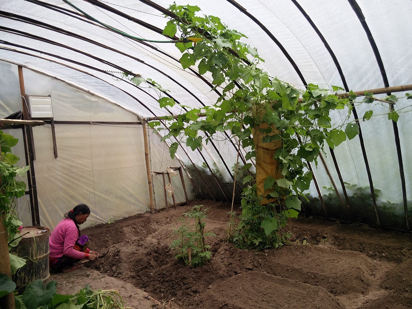 Raspberry pi controlled greenhouse — ideas to lessons | by Pravin Raj ...