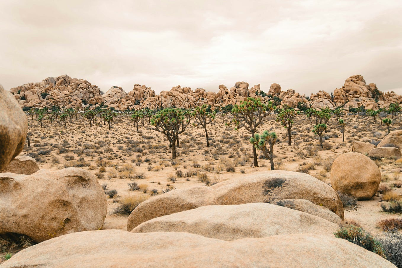 Extracting Themes from Contents with Gemini Models in BigQuery | by ... Extracting Themes from Contents with Gemini Models in BigQuery | by ...