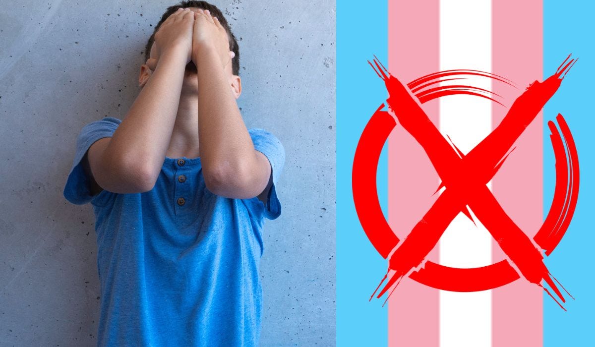 Gender Desire vs. Gender Identity | by Amanda Roman | Medium