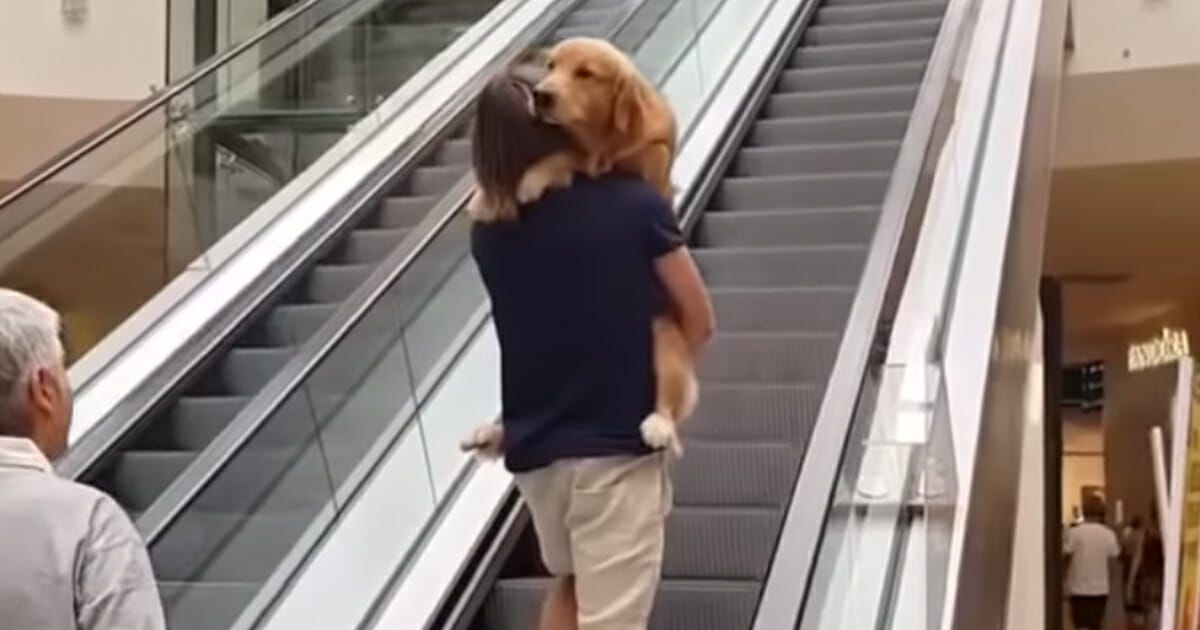 Automating Pr Descriptions With Github Actions And Python Let The Bots Do The Talking By