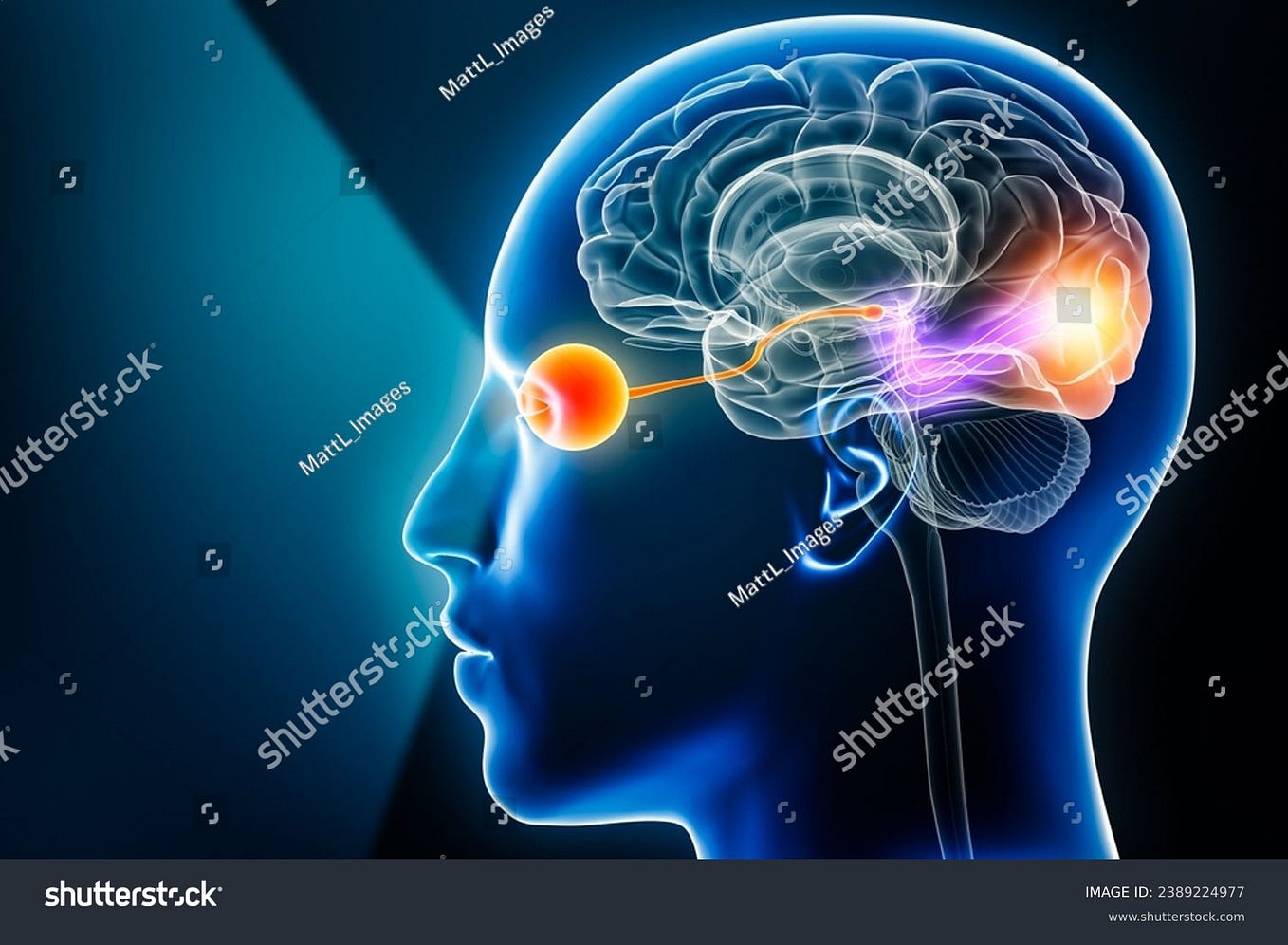Convolutional Neural Network From Scratch | by Rajesh Katta | Medium