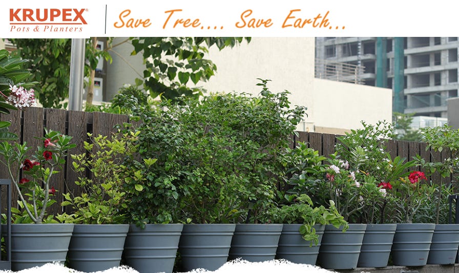 Blooming Beauties: A Guide to Railing Hanging Flower Pots | by Krupex India | May, 2024 | Medium