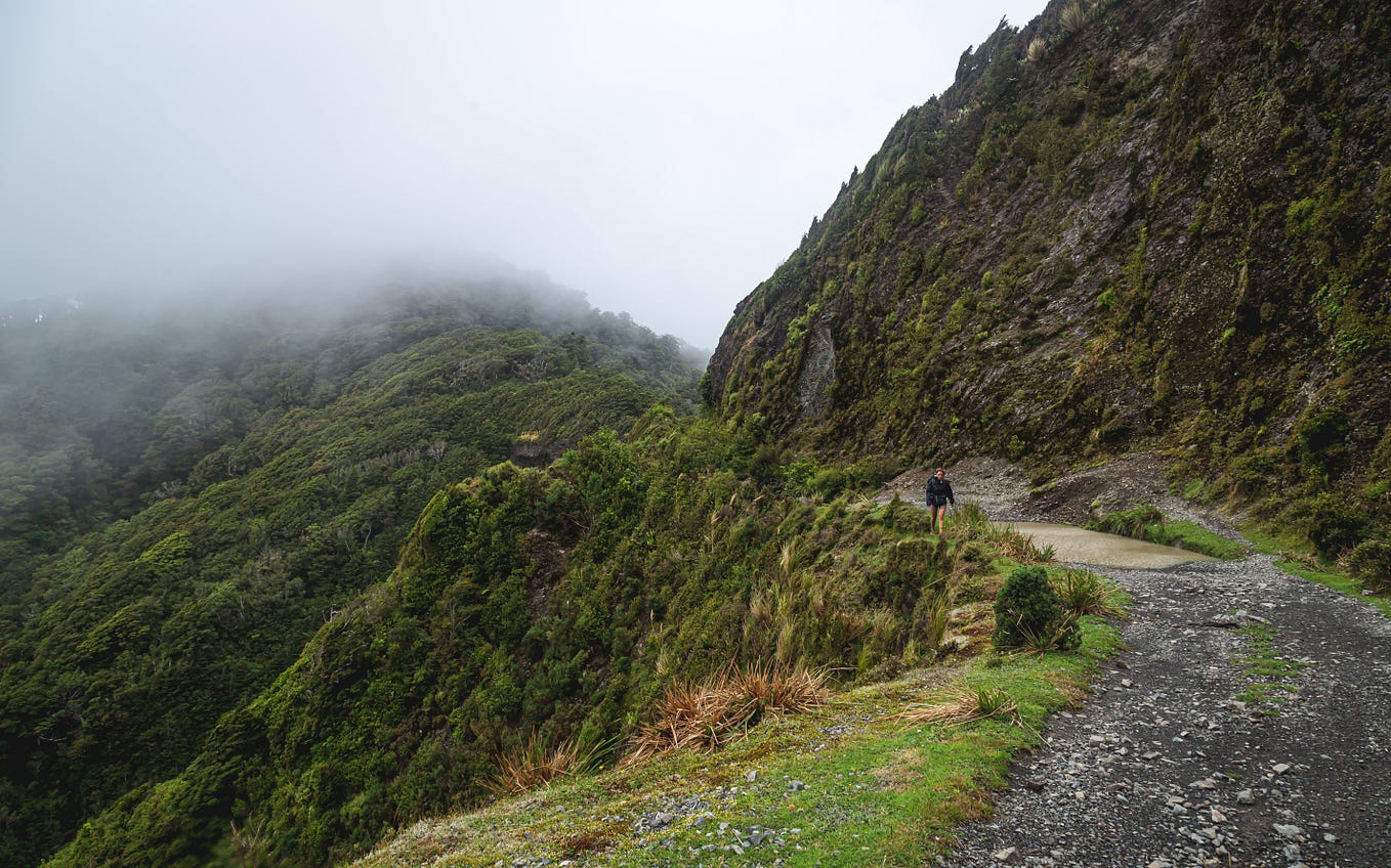 Lush: the Ōhau River route. Adjective. 1. (of vegetation) growing… | by ...