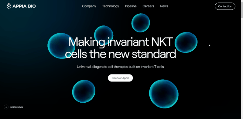 10 Mind-Blowing Websites with GSAP: Unleashing the Power of Outstanding ...