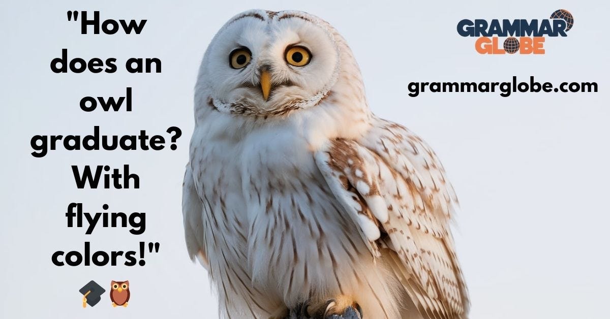 One Liner Funny Pasta Puns to Sauce Up Your Day | by Grammar Globe ...