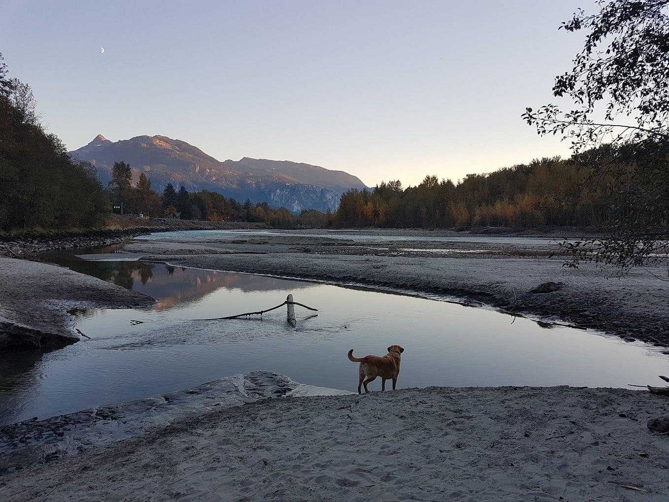 Such awesome photos!!! - Natalie Gates - Medium