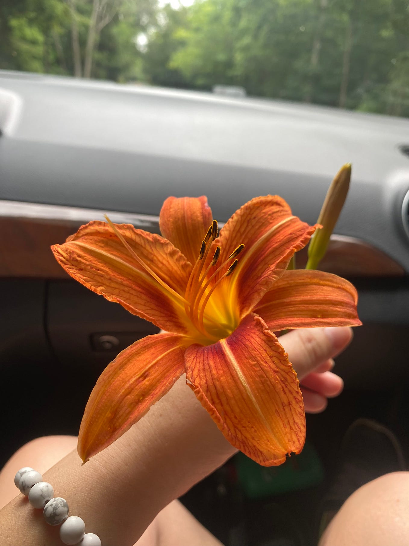 My Fault I Know I Have Insecuritiesi Know My By Baconbits Medium