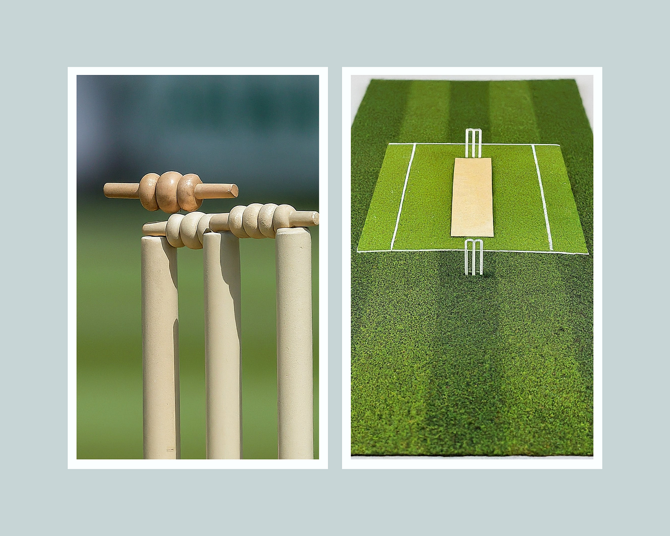 Cricket for Beginners: What is ‘Out’?(Part 2) | by Match Mania | May ...