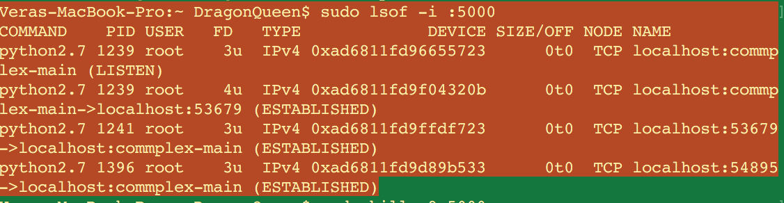Extracting the payload from a pcap file using Python | by Vera Worri | Medium