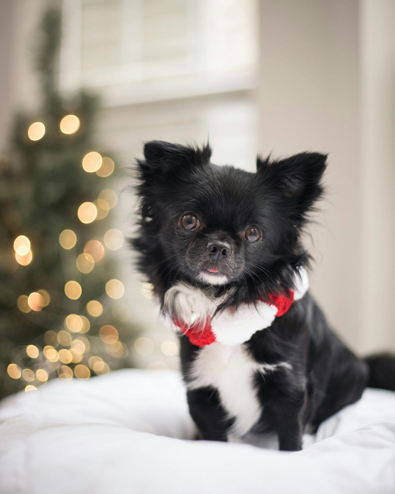 Anomaly In The Woods. What Happened? | by Anna Gadd | Never Stop ...