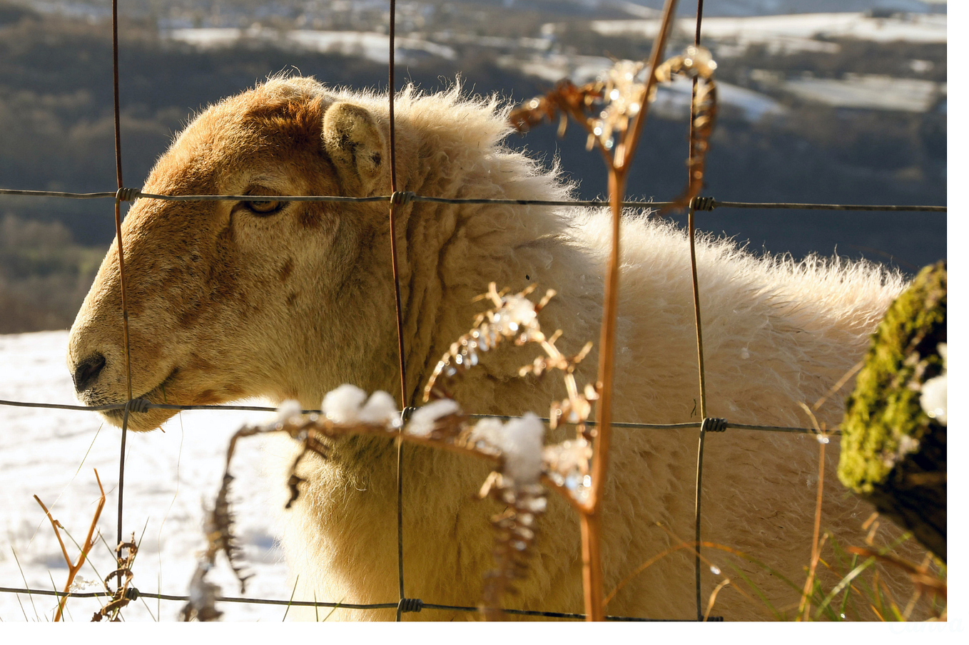 The Ultimate Guide to Managing Difficult Clients | by Matt Saunders | Level Up Coding