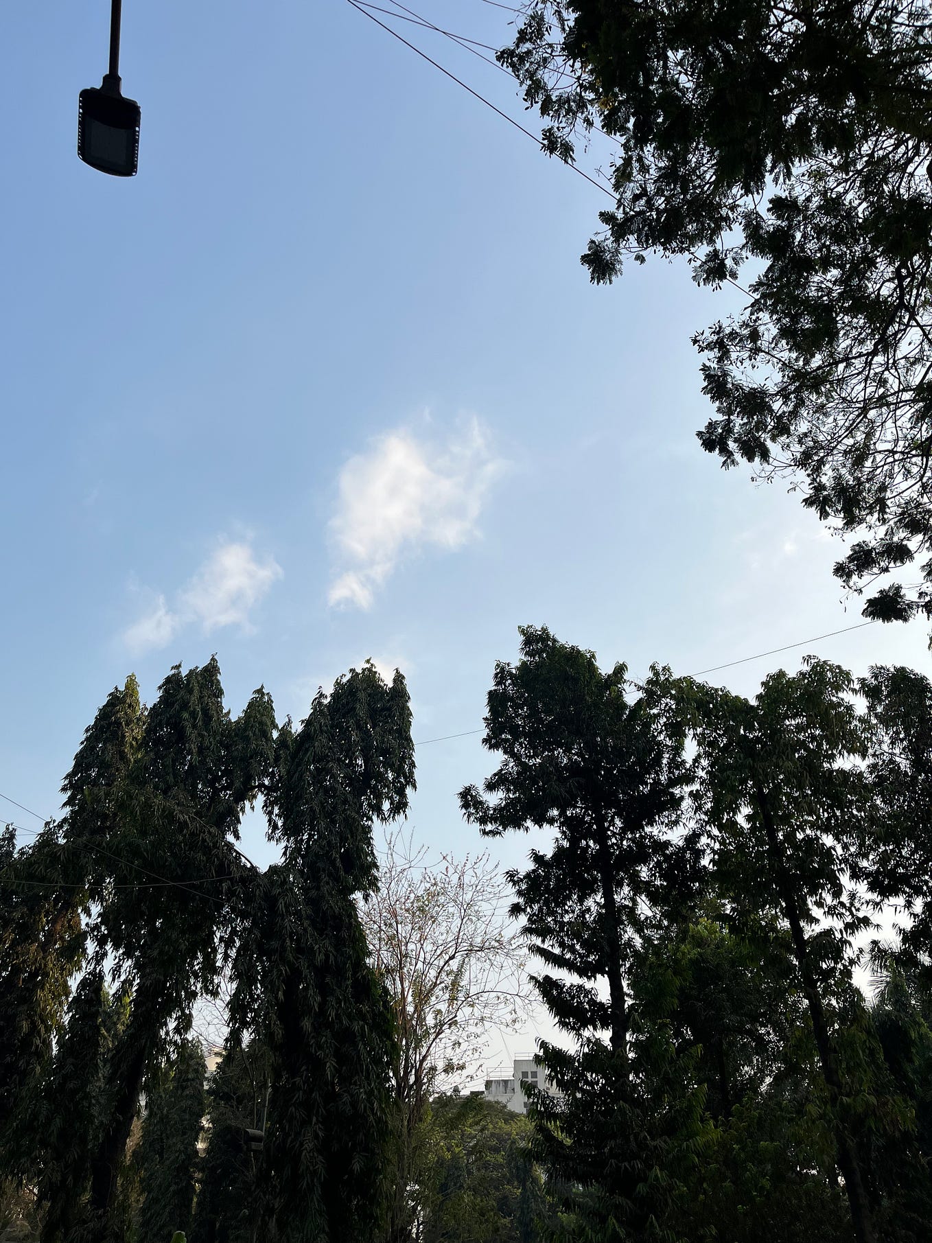 The Paradox of Life. “What surprises me most about humankind… | by Samyak Kamble | Medium