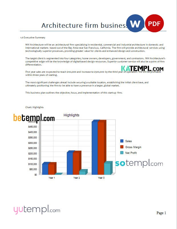 airline business plan template in Word and PDF formats | by Betemplbe ...