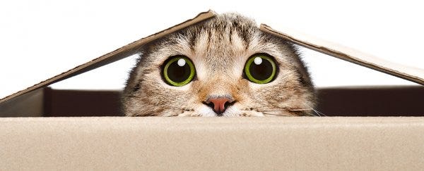 Paradox 9: The Power and Peril of Persuasion- Navigating Emotion, Logic ...