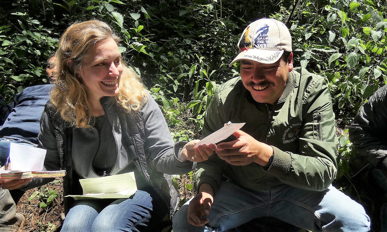 How to Do Monarch Butterfly Ecotourism | by Ellen Sharp | Medium
