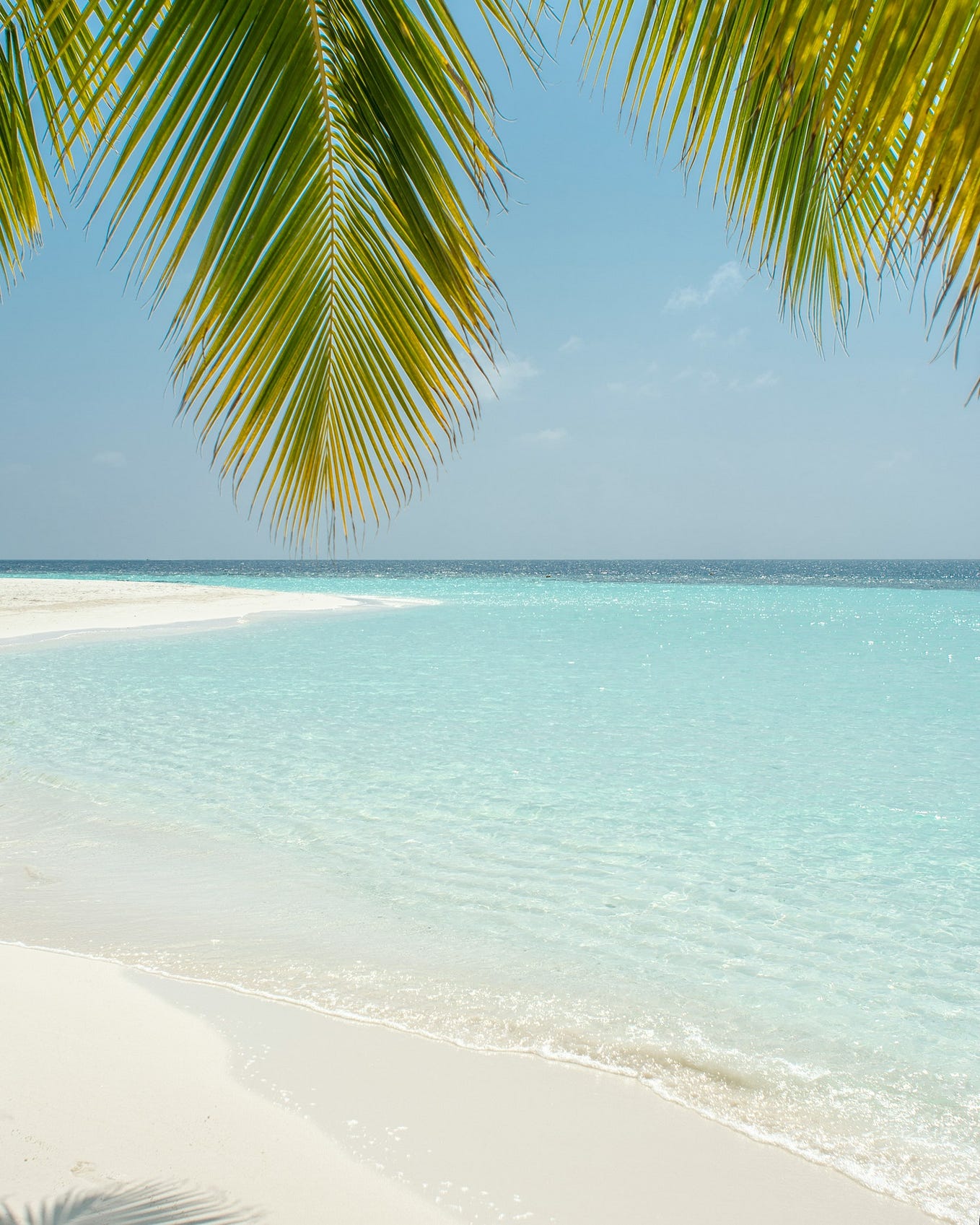 Sip for Radiant Skin: Great Skin With Tropical Drinks | by Danielle ...
