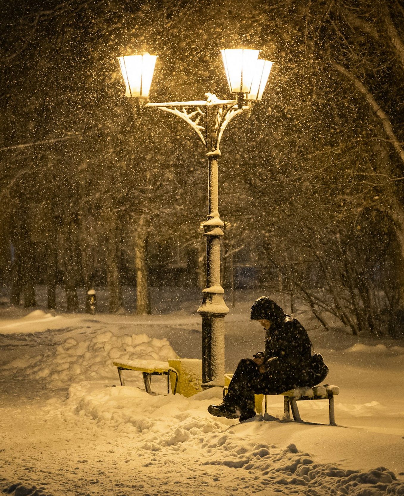 The Quiet Disappearances: Things That Ceased to Exist Without Anyone ...