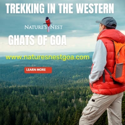 Bird watching in the Western Ghats: A Delight in Goa - Naturenestgoa ...