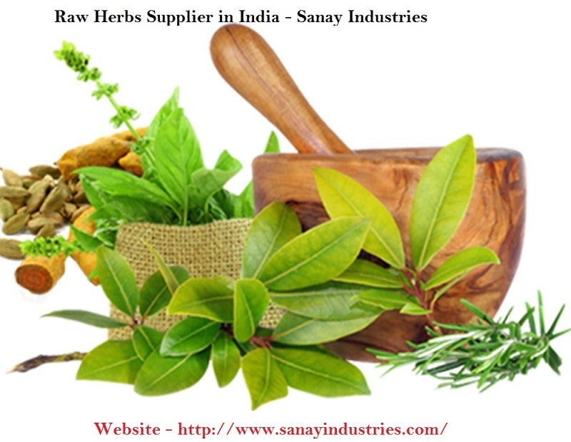 Senna Leaves Supplier in India - Sanay Industries - Medium