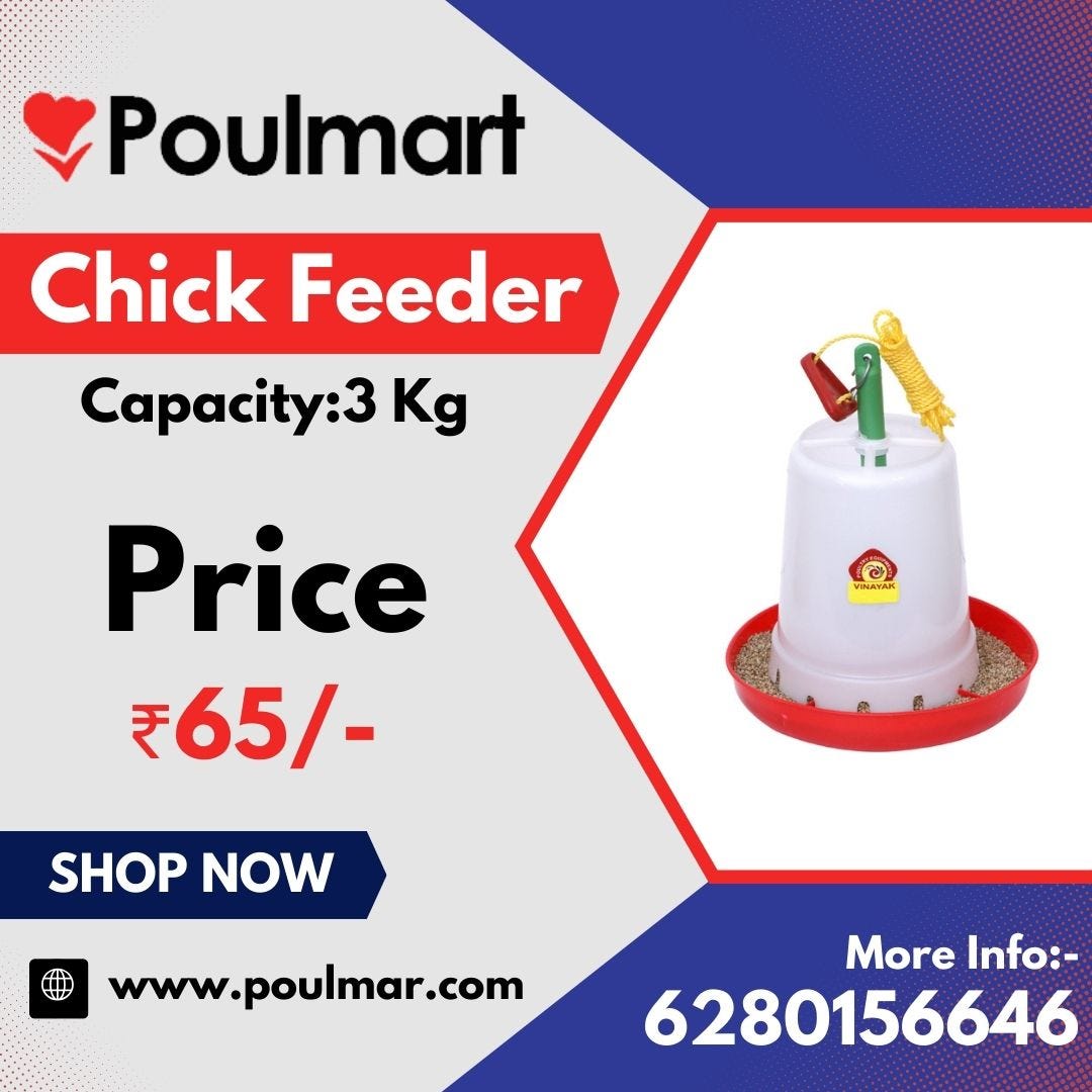 Maxi Chick Feeder - Poulmart India - Medium