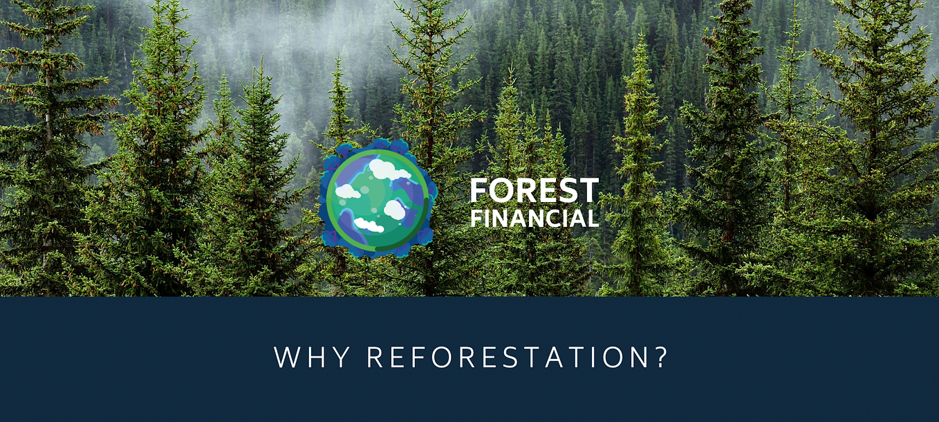 Project Update: June 2022. Hello Foresters | by Forest Financial | Medium