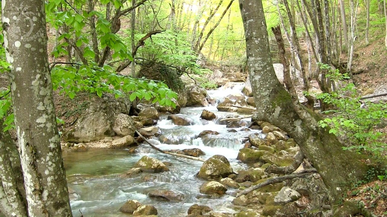 Testing the V8 JavaScript Engine. In this blog post, I’ll summarize the ...