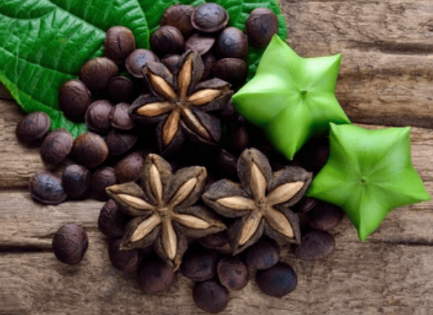 WHAT IS SACHA INCHI OIL?. WHAT ARE THE BENEFITS OF SACHA INCHI… | by ...